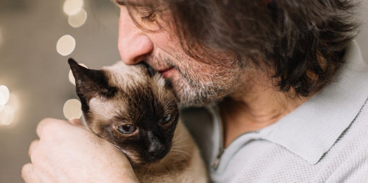 Comment calculer l’âge humain de votre chat ? (Tableau) – Animojo.fr